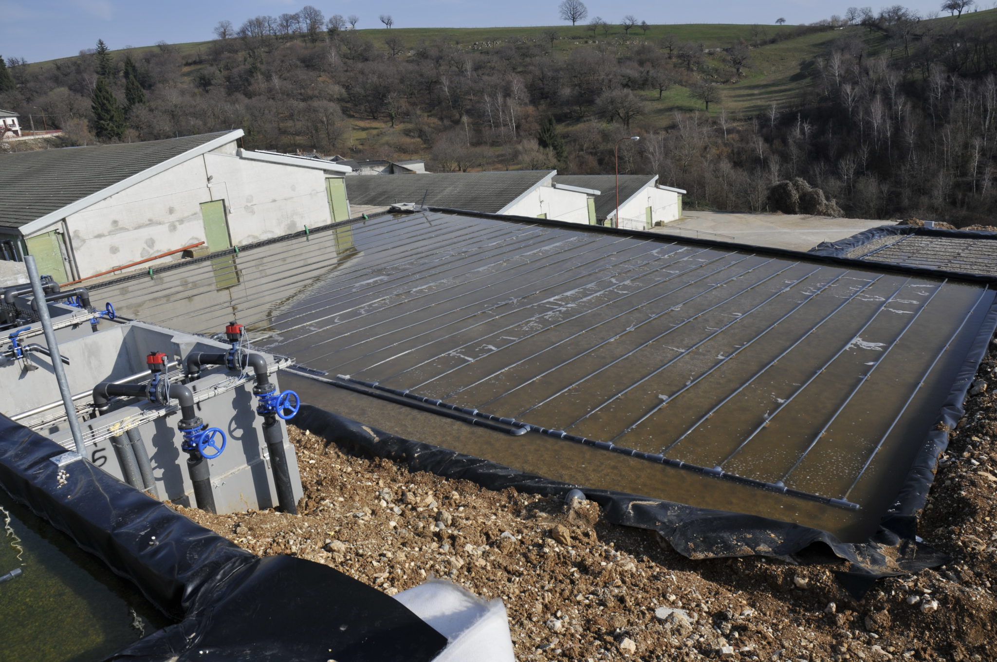 Manure processing project with aerated reed bed in Italy - Rietland
